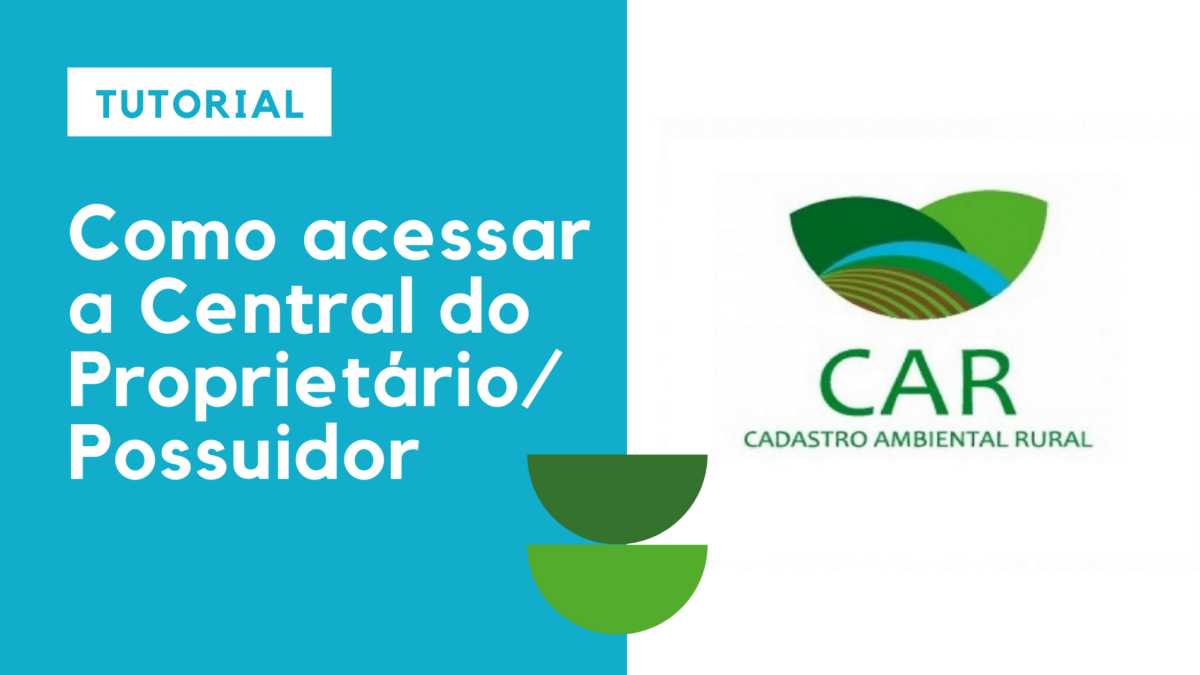 CAR: Como acessar a Central do Proprietário/Possuidor – BLOG da Apoio ...